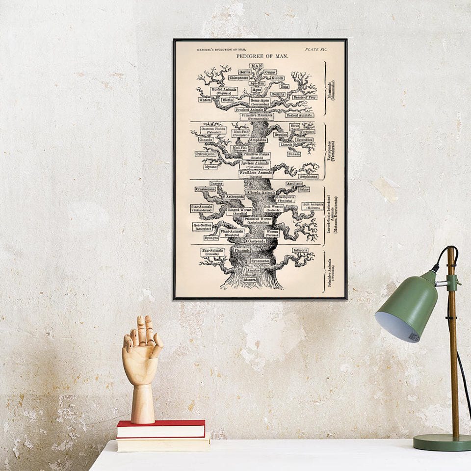 Evolution Man Tree Print - Tree of Life Print - Wall Art Decor ...