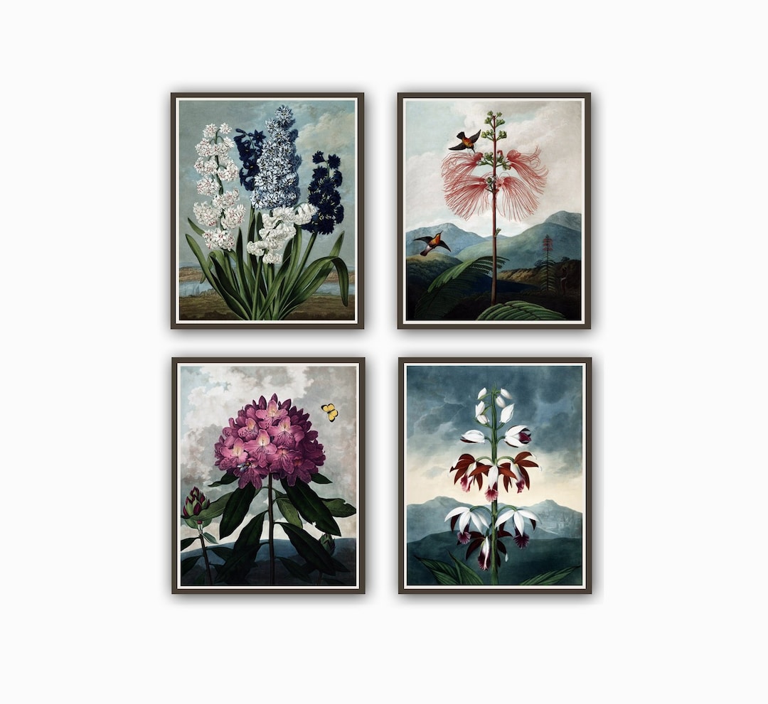 Flower Print Set, Botanical Art Print, Flowers Wall Art Print Set of 4 ...