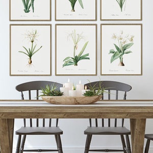 Flower Print Set, Flower Wall Art Decor, Flower Collage, Flower Wall ...
