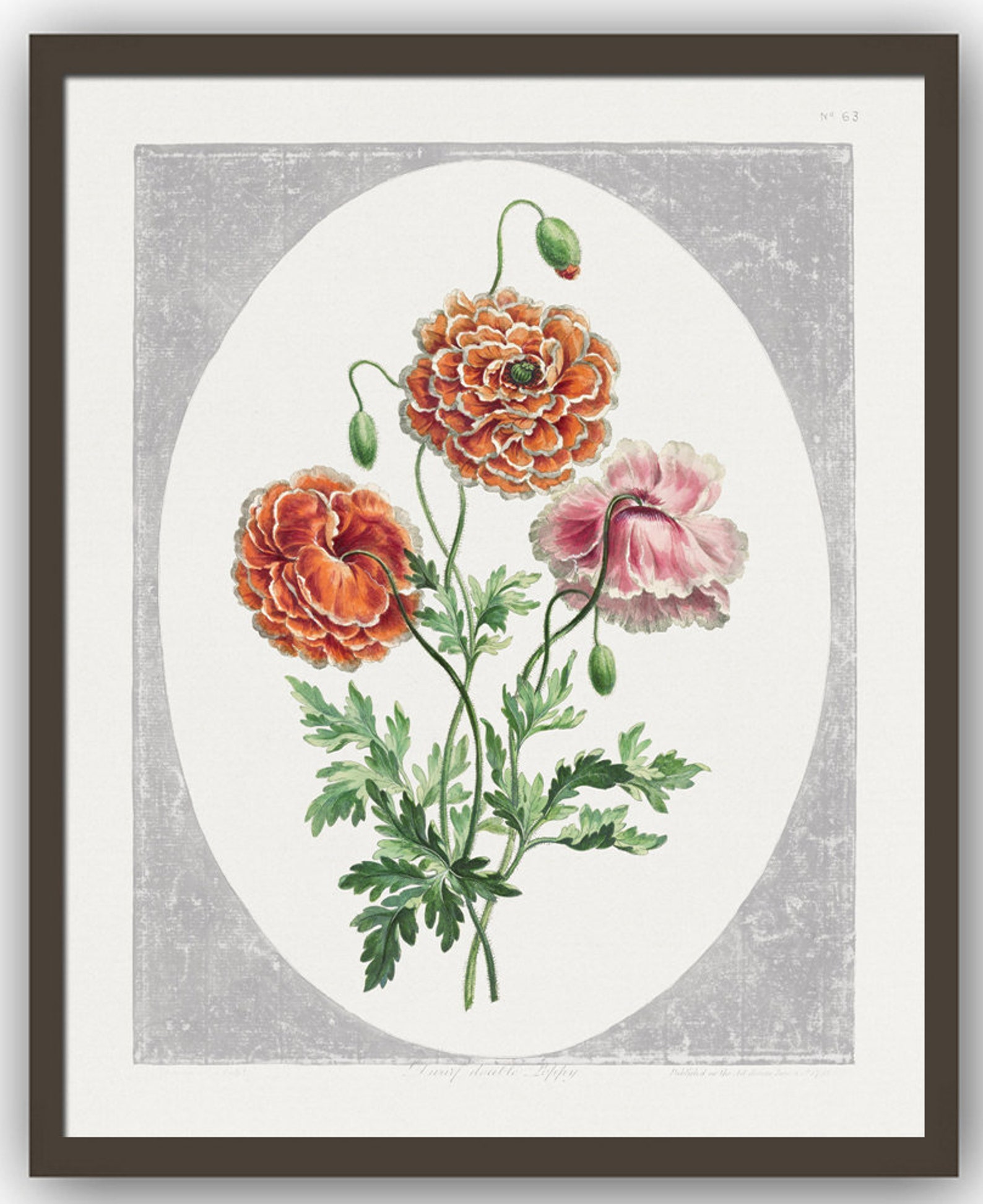 Vintage Flower Print, Botanical Art Print, Large Wall Art Print, Poppy ...