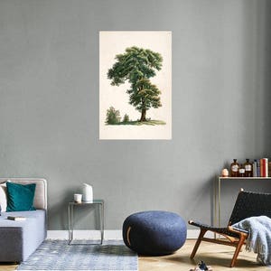 Oak Tree Print, Botanical Home Decor, Tree Wall Art, Oak Tree Decor ...