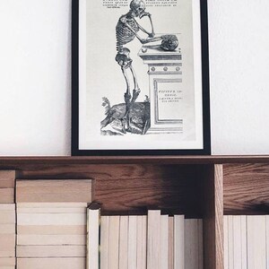 Human Skeleton Print Anatomy Medical Poster Skull Bones - Etsy