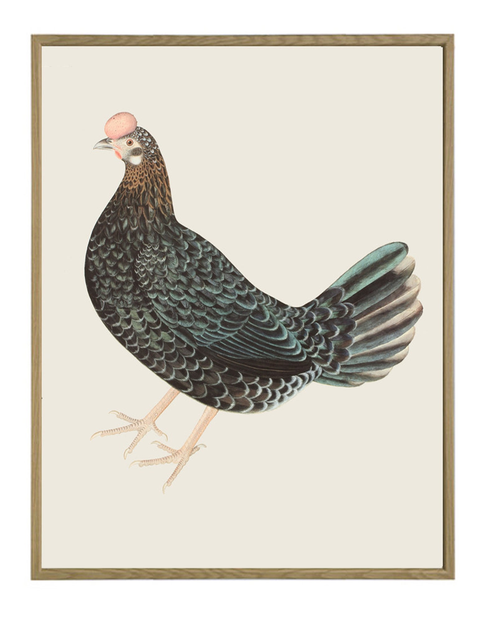 Farm Hen Swedish Bird Print Large Wall Art Decor | Etsy