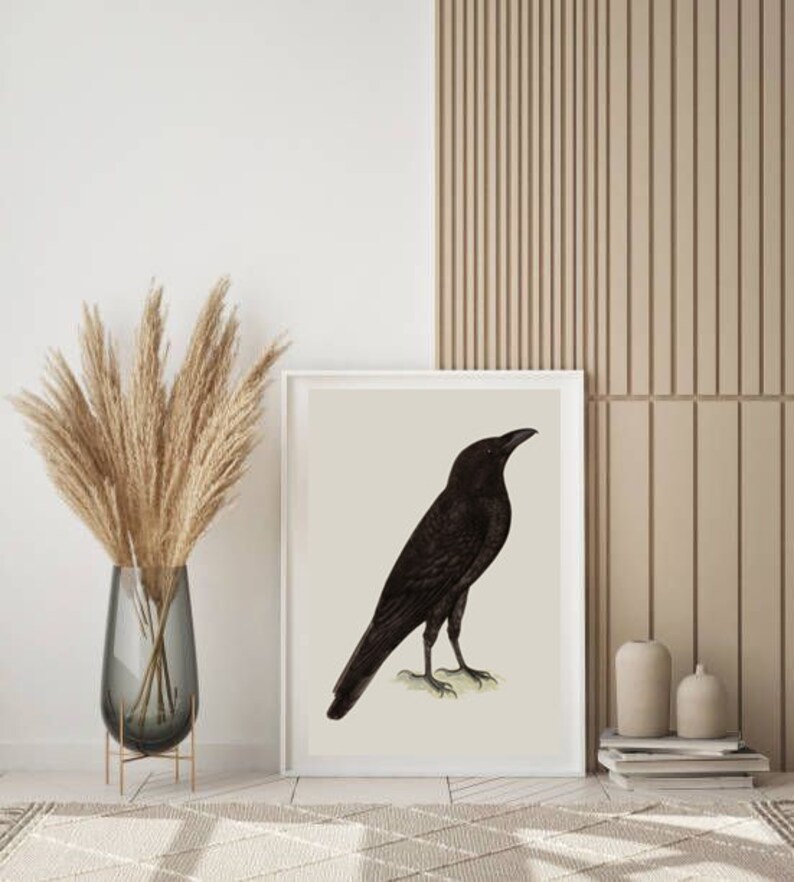 Raven Bird Print Large Wall Art Decor, Swedish Bird Vintage ...