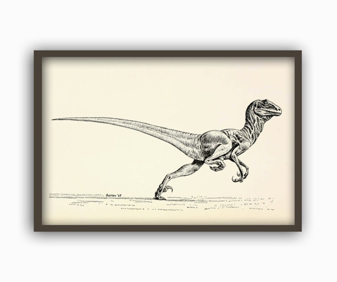 Dinosaur Print Velociraptor Dinosaur Poster Dinosaur Wall - Etsy