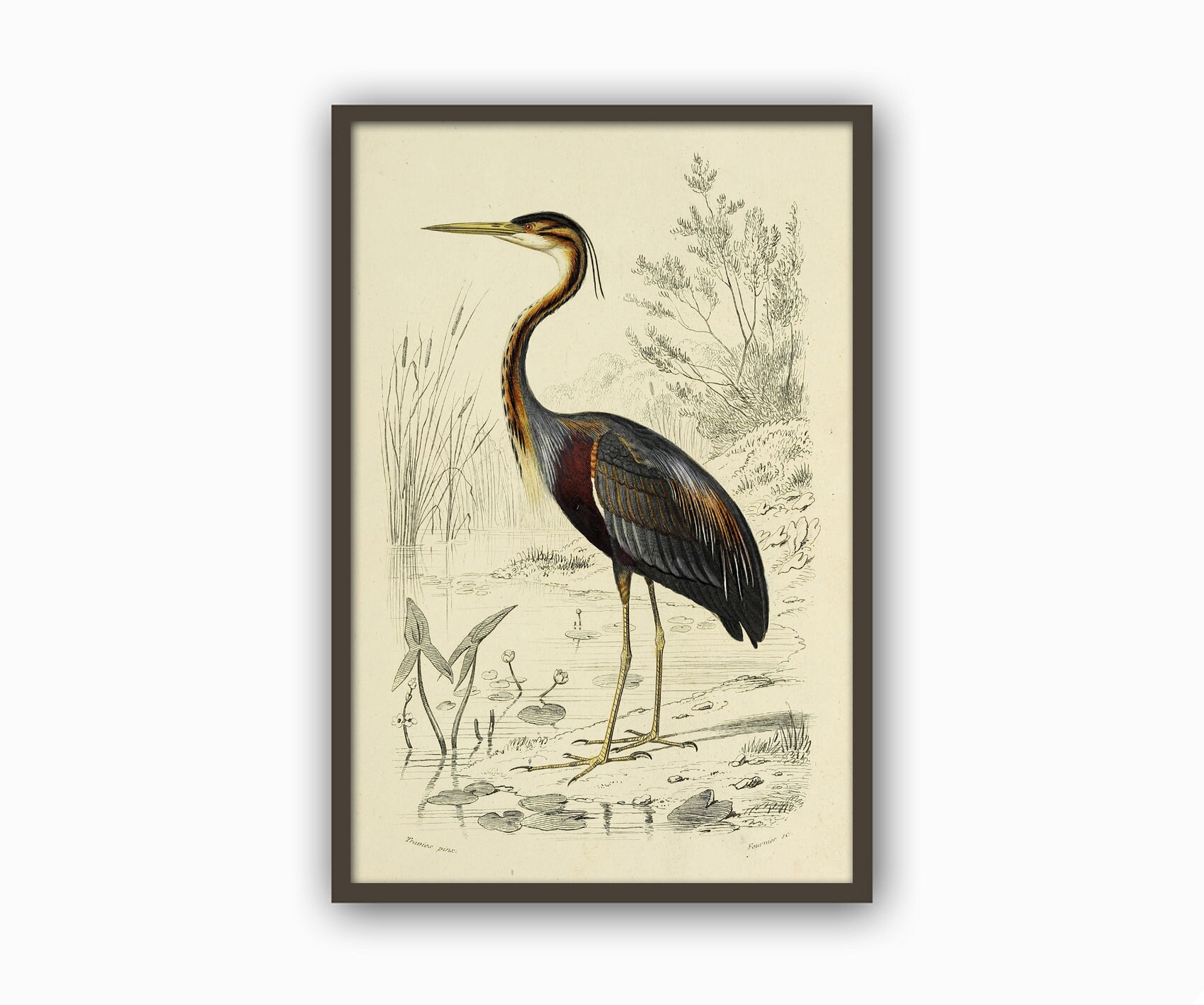 Heron Print Bird Print Bird Illustration Print Bird Poster | Etsy