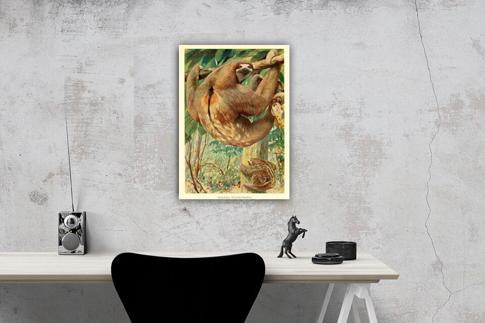Sloth Art Print Vintage Animal Illustration Wall Art Poster | Etsy