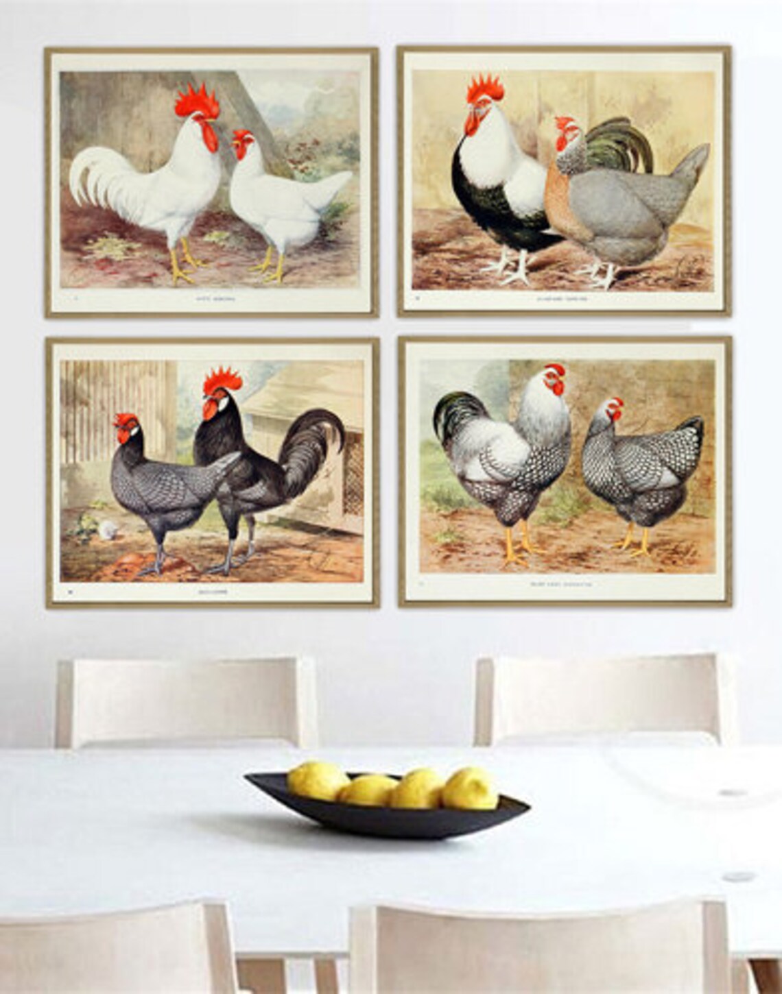 Rooster and Hen Print Kitchen Wall Art Decor Breed of - Etsy