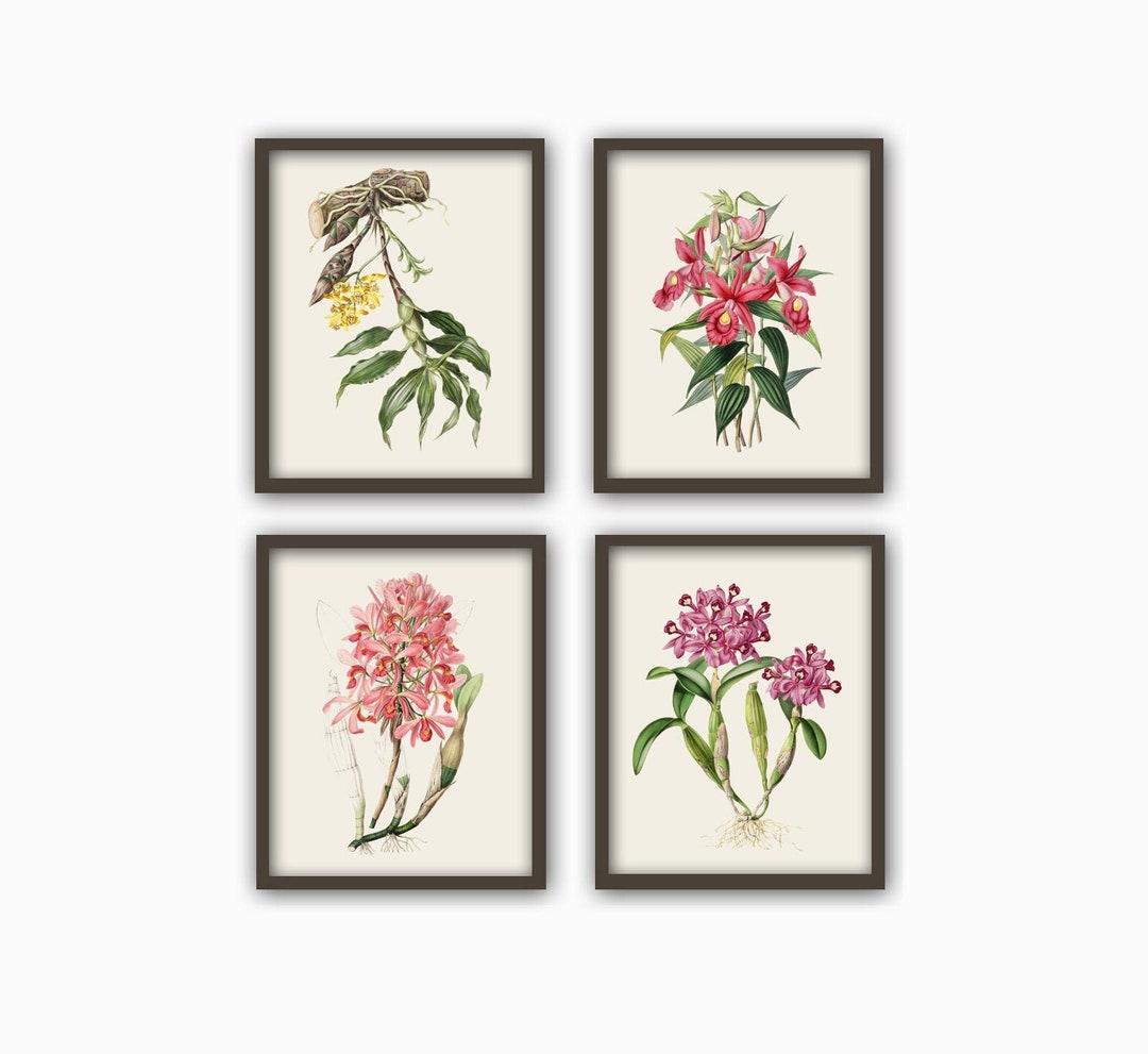 Orchid Flower Print Set of 4, Botanical Wall Art Home Decor, Botanical ...