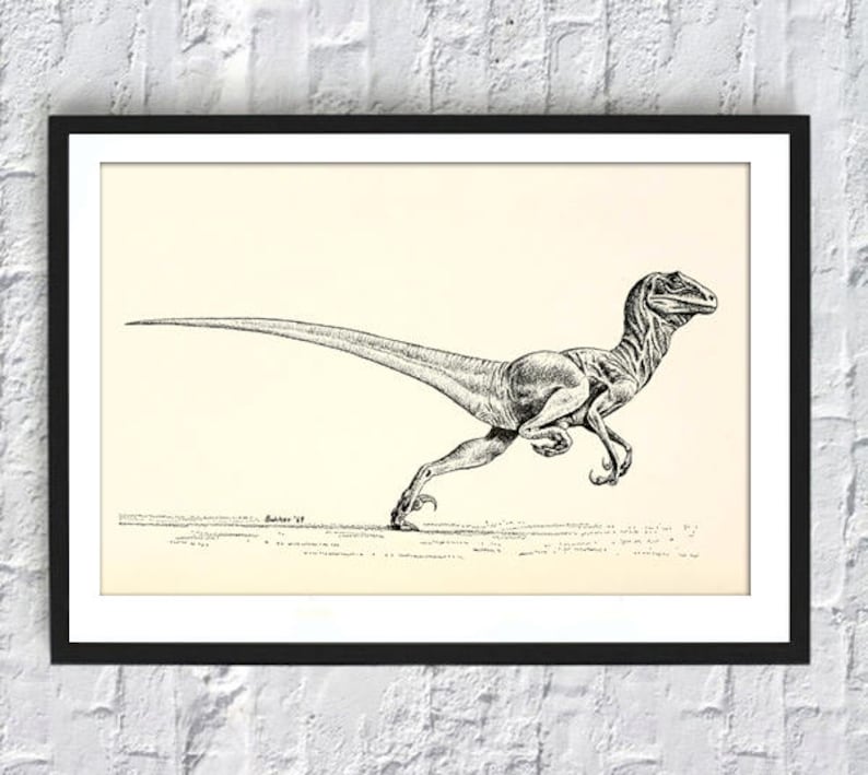 Dinosaur Print Velociraptor Dinosaur Poster Dinosaur Wall | Etsy