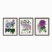 Flower Print Set, Flower Wall Art, Botanical Wall Art Decor, Flowers ...