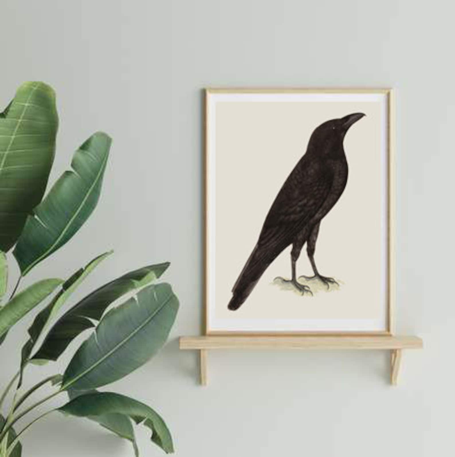 Raven Bird Print Large Wall Art Decor, Swedish Bird Vintage ...