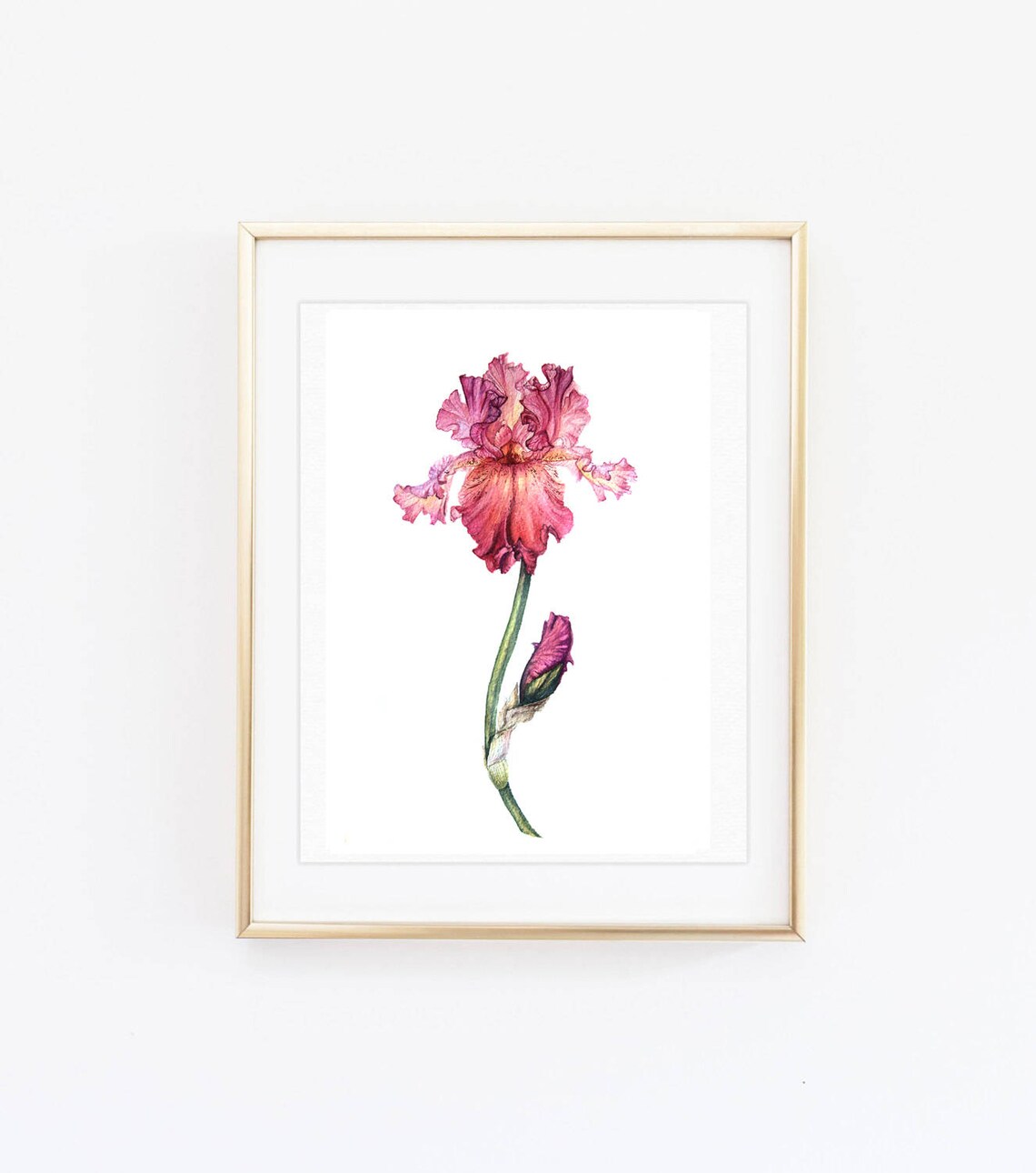 Iris Flower Print Iris Watercolor Flowers Wall Art Print | Etsy