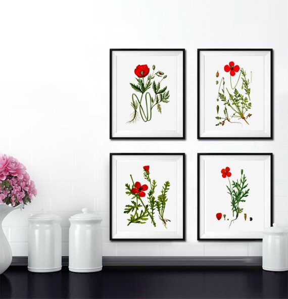 Antique Poppy Print Set of 4 Home Decor Flower Botanical | Etsy