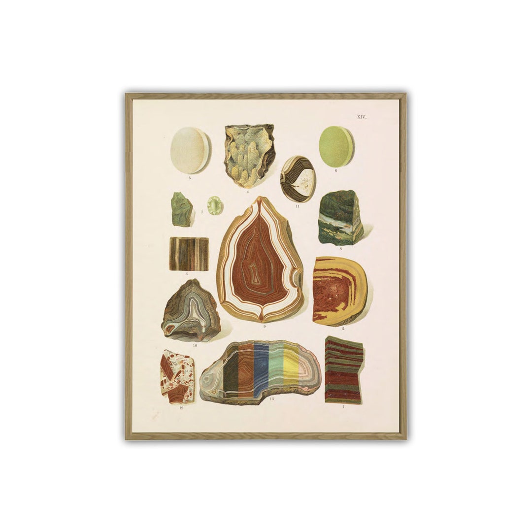 Minerals and Stones Print, Mineral Crystal Decor, Geology Print Art ...