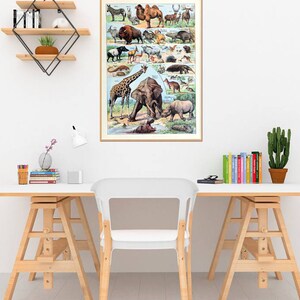 Safari Animal Print, Science Poster, Animals Vintage Illustration ...