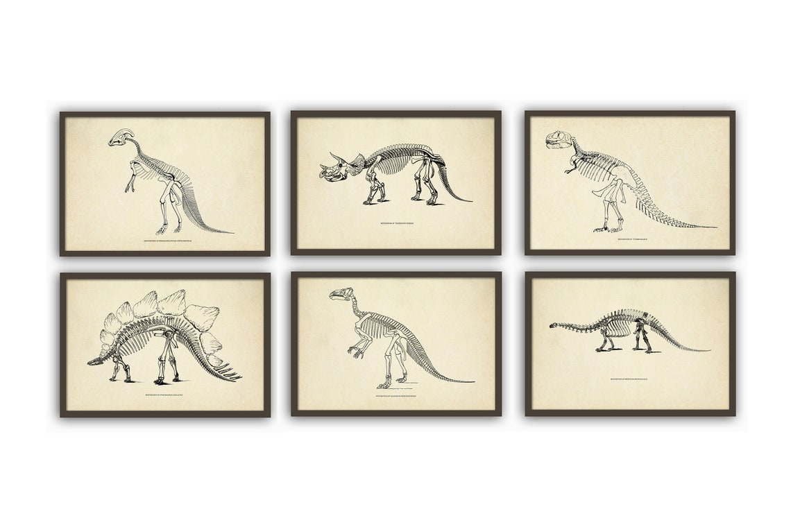 Dinosaur Skeleton Anatomy Fossil Print Set of 6 Prehistoric - Etsy