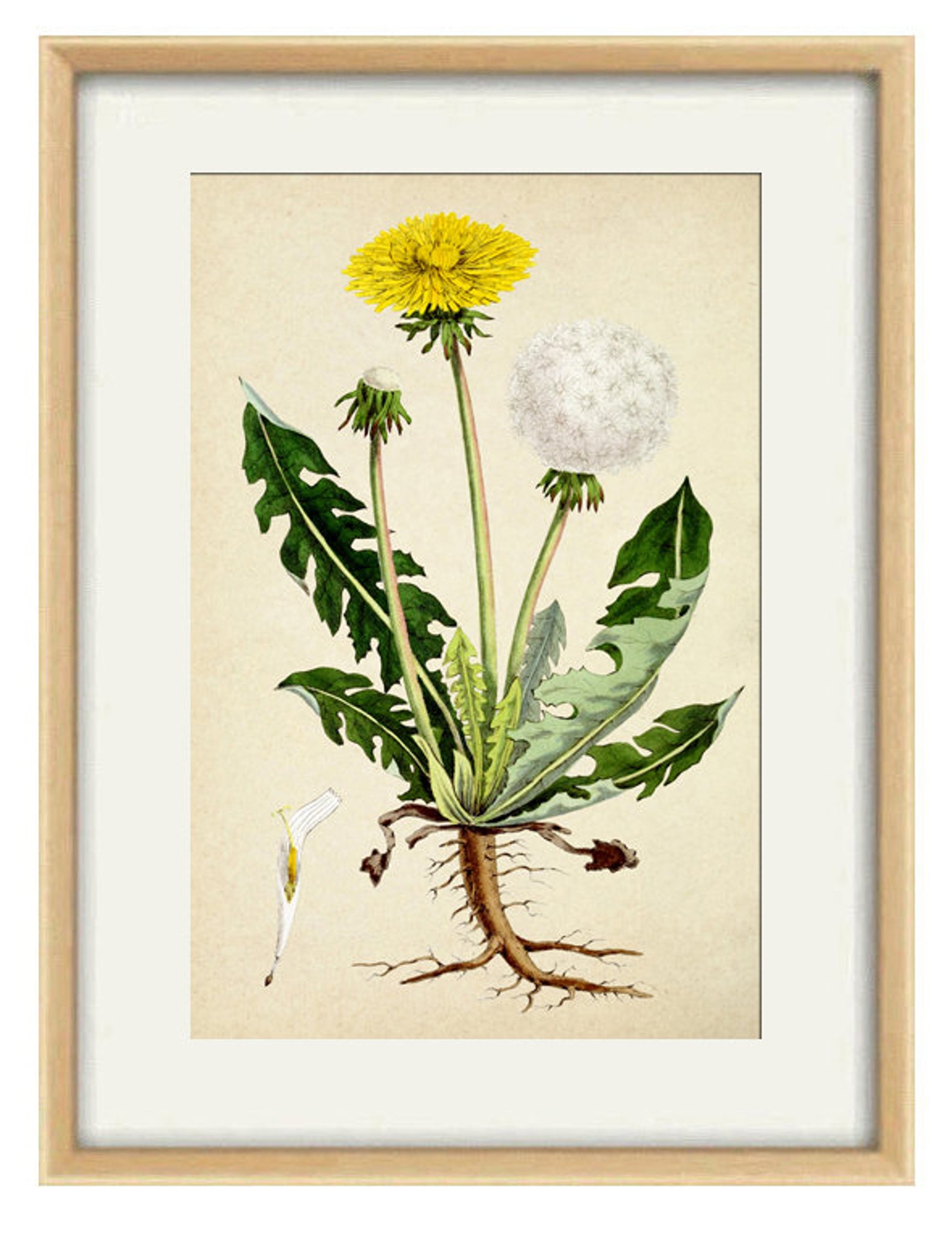 Dandelion Print Flower Home Decor Kitchen Wall Art Yellow - Etsy