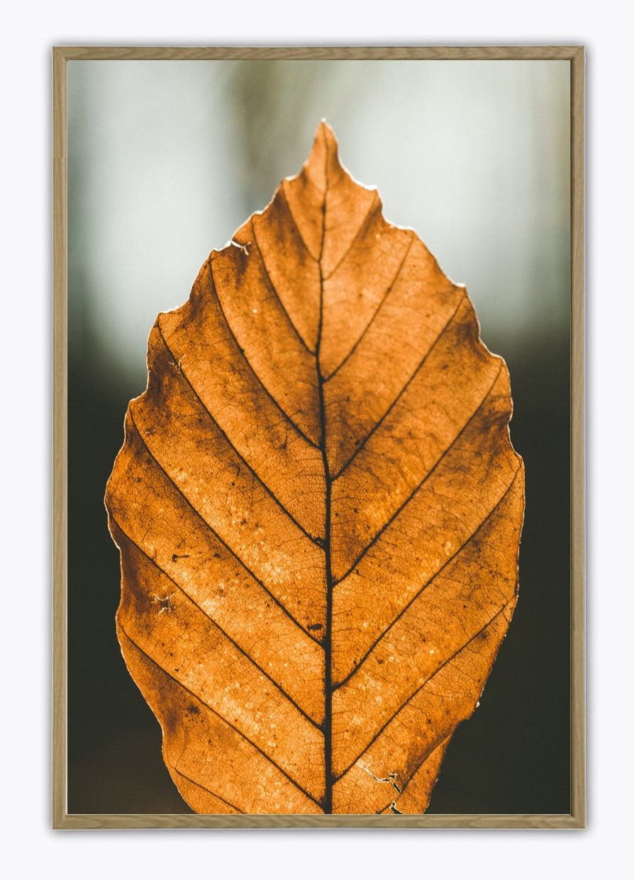 October Decor Autumn Poster October Posters Oktoberfest October Poster ...