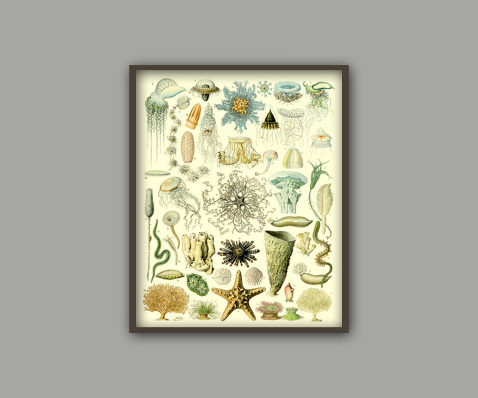 Marine Biology Print Bathroom Decor Poster Oceanography - Etsy