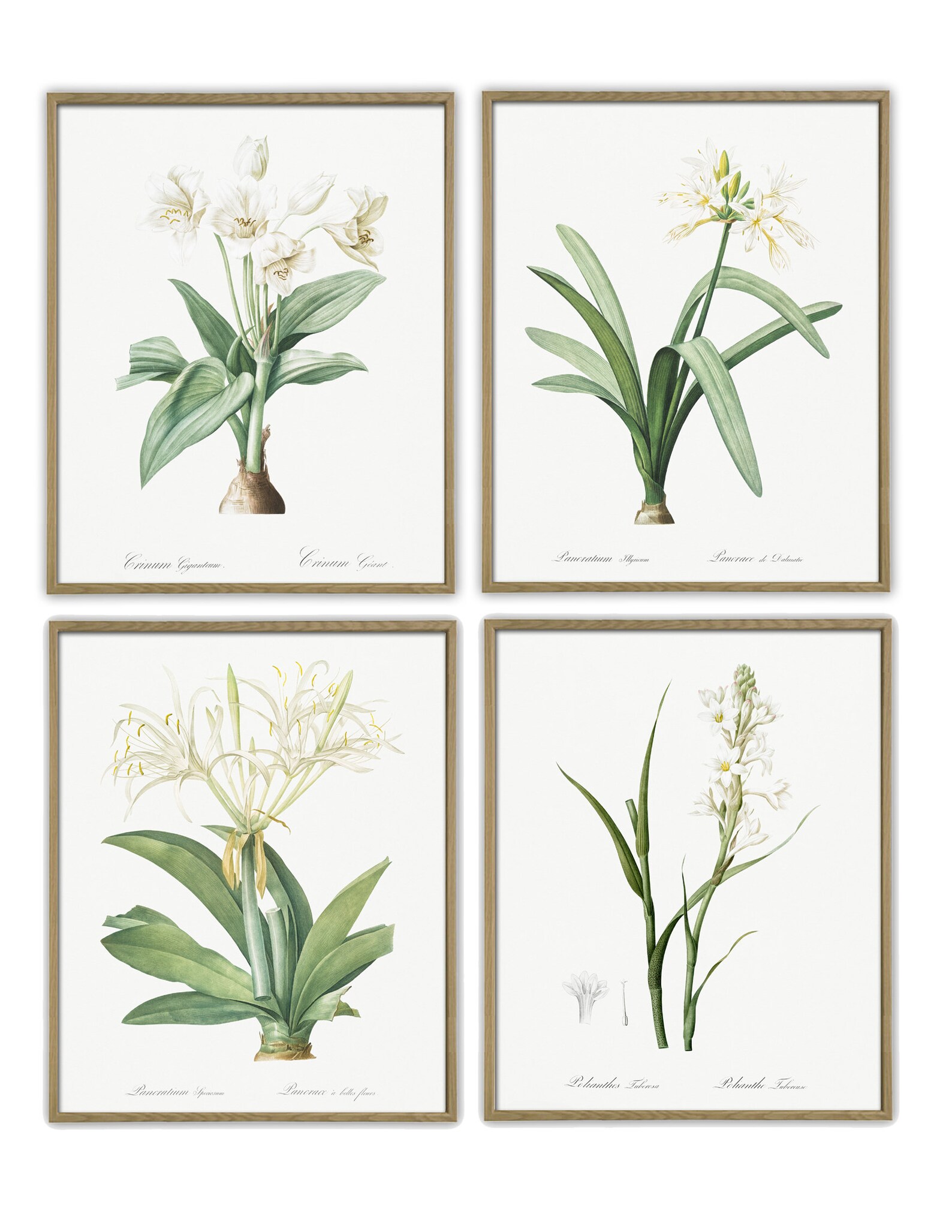 White Flowers Print Botanical Wall Art Decor Blooming Flowers | Etsy