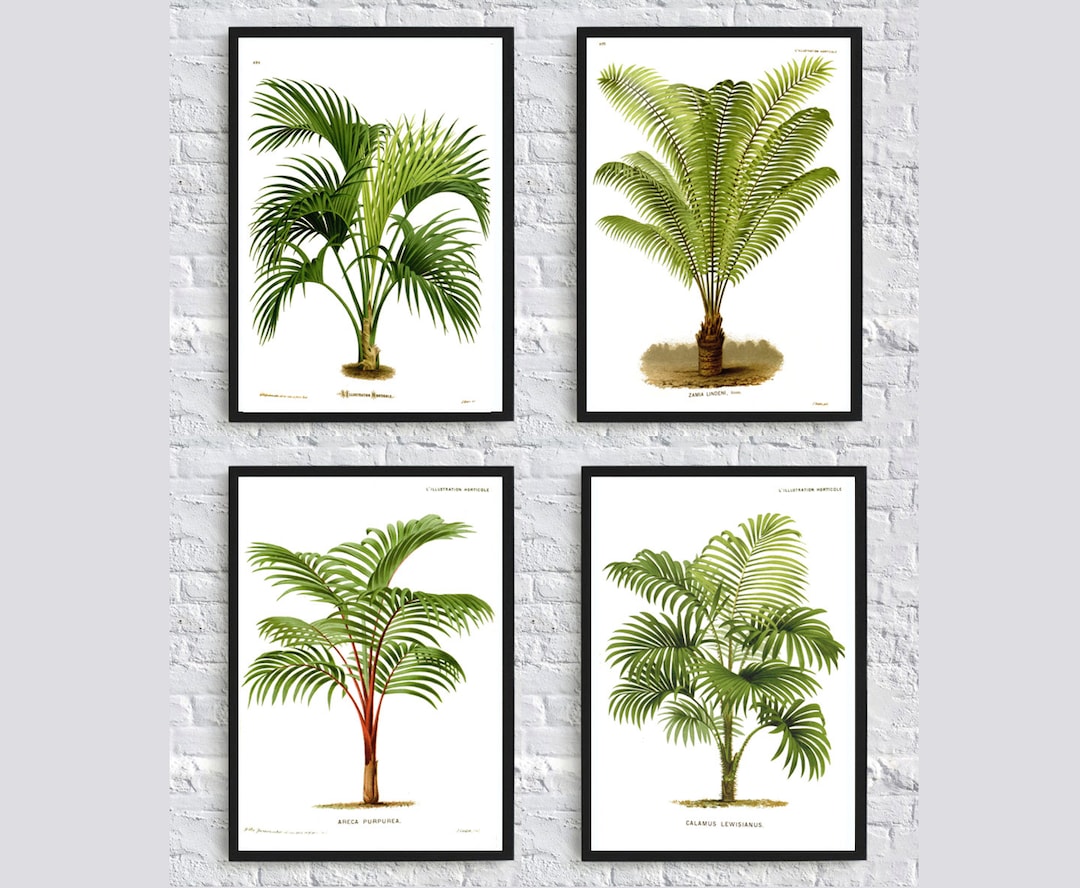 Palm Tree Print Set of 4, Palm Tree Botanical Wall Art Print, Palm ...