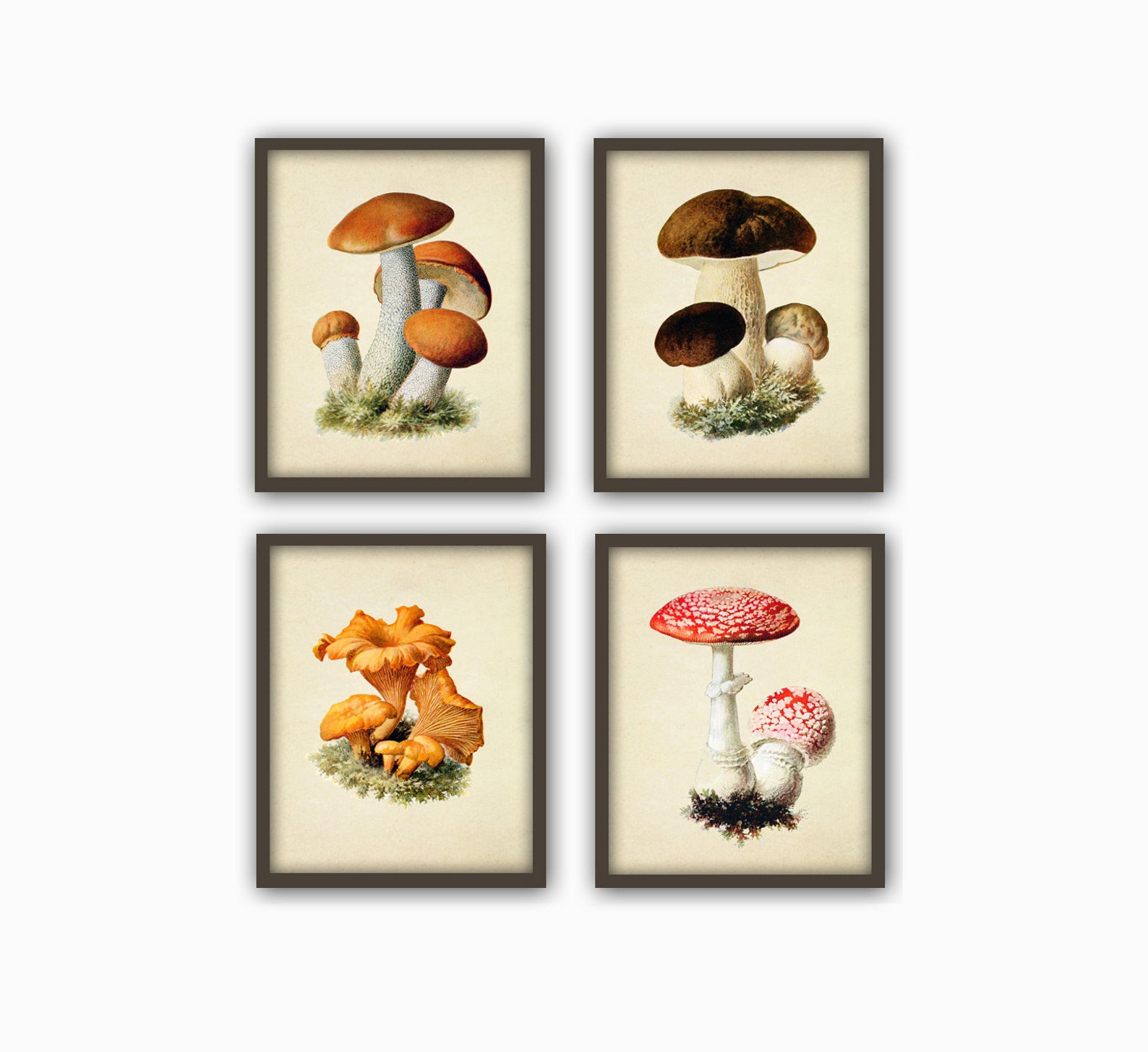 Mushroom Print Set of 4 Mushroom Kitchen Decor Mushrooms - Etsy