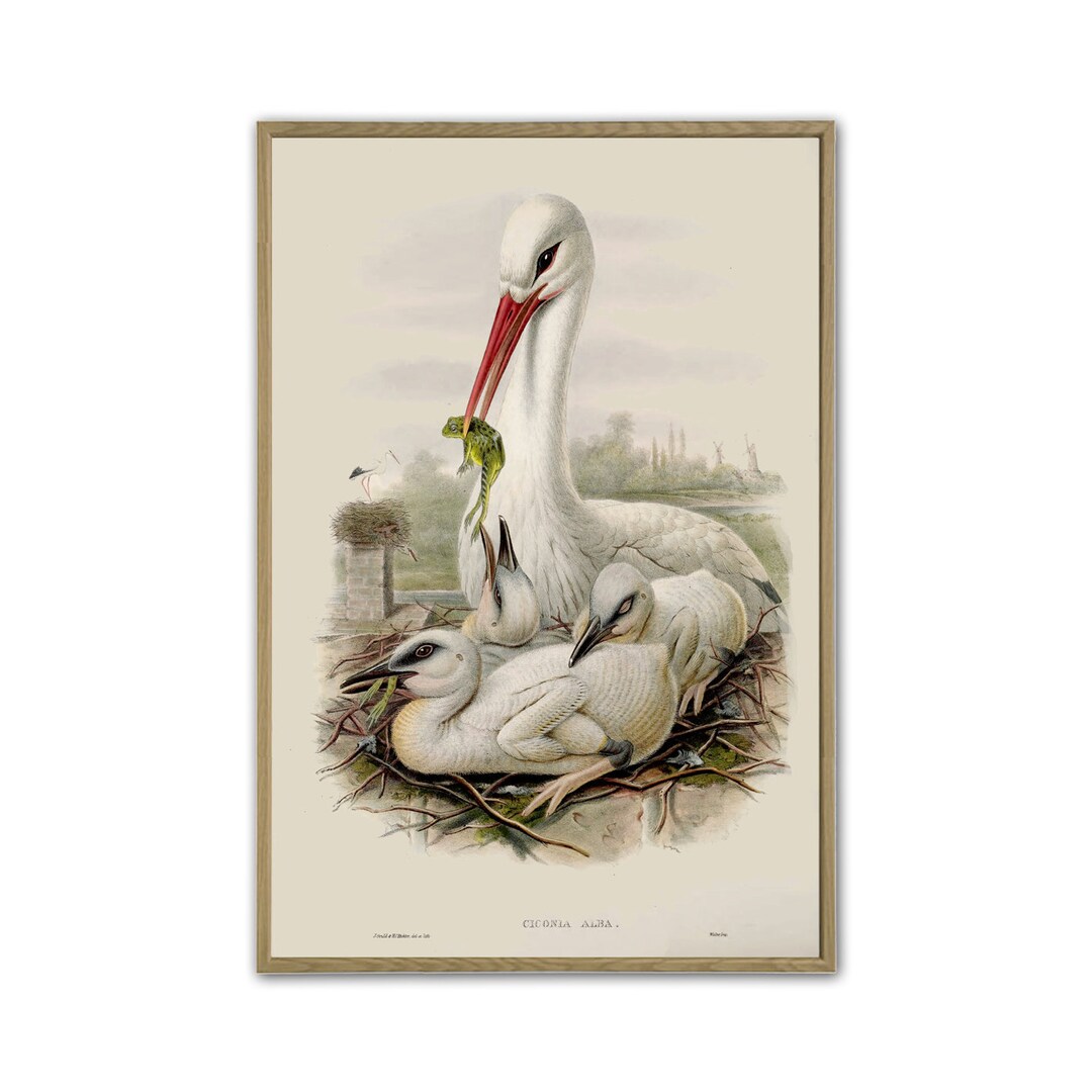 Stork Print Bird Print, Large Wall Art Decor, Bird Picture - Etsy