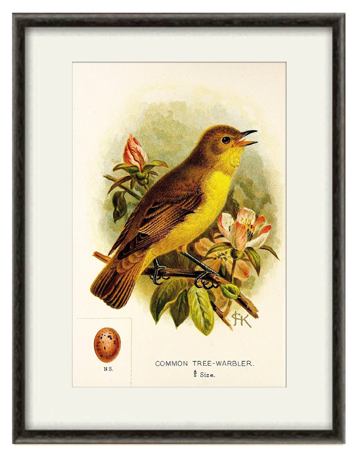 Bird Print Vintage Illustration Wall Art Decor Yellow Bird - Etsy