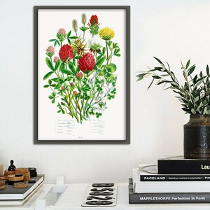 Flower Print, Clover Print, Flower Botanical Decor, Flower Vintage ...