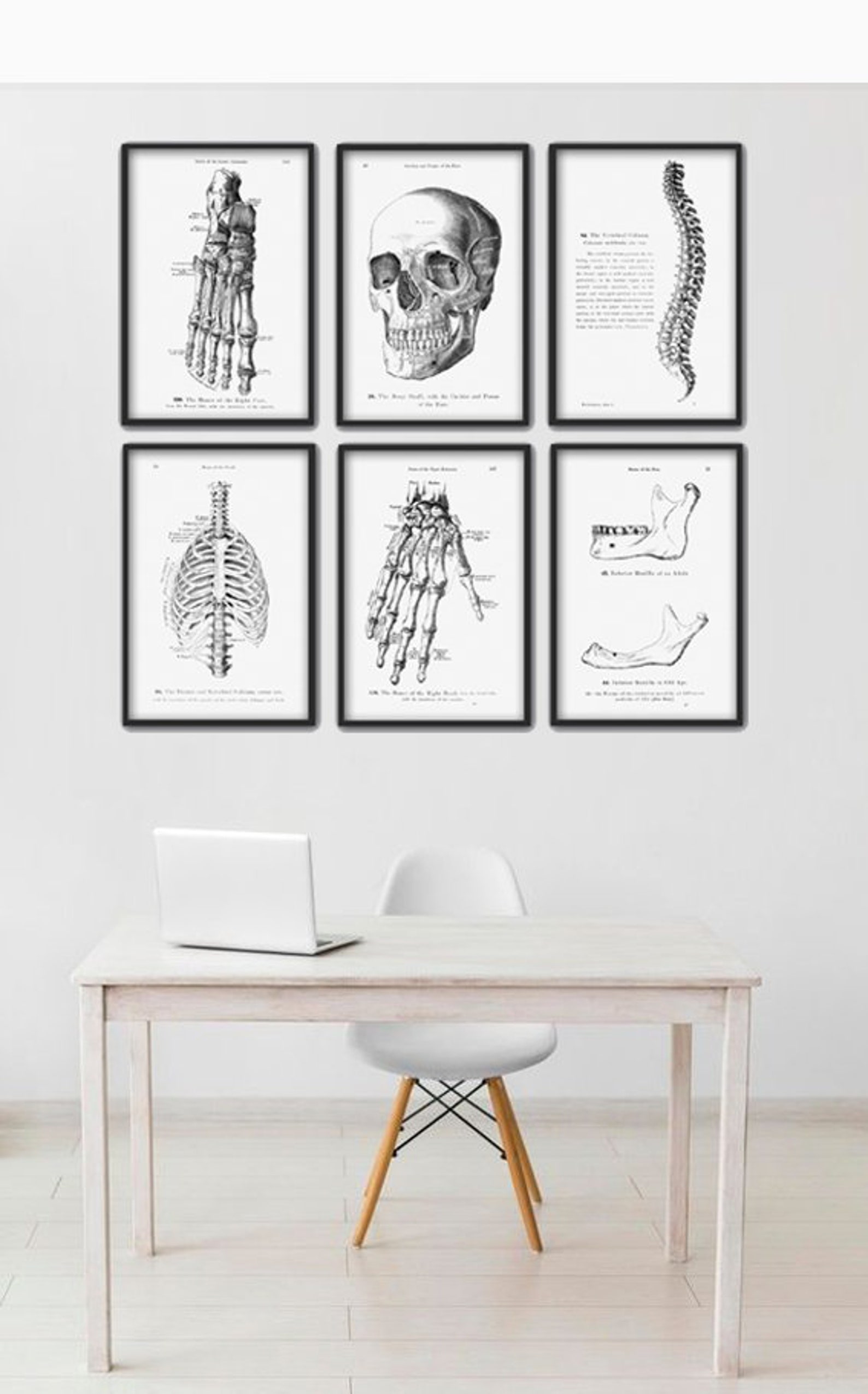 Human Skeleton Bones Print Set of 6 - Human Skull Wall Art - Anatomy ...