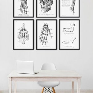 Human Skeleton Bones Print Set of 6 - Human Skull Wall Art - Anatomy ...