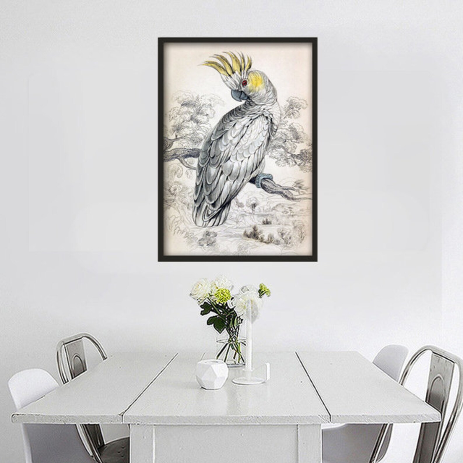 Parrot Print Bird Wall Art Parrot Poster Bird Living Room - Etsy