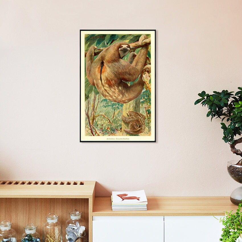Sloth Art Print Vintage Animal Illustration Wall Art Poster | Etsy