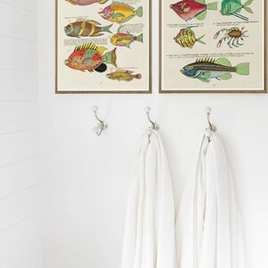 Fish Print Fish Poster Sea Marine Wall Decor Print Cute Fishes Painting ...