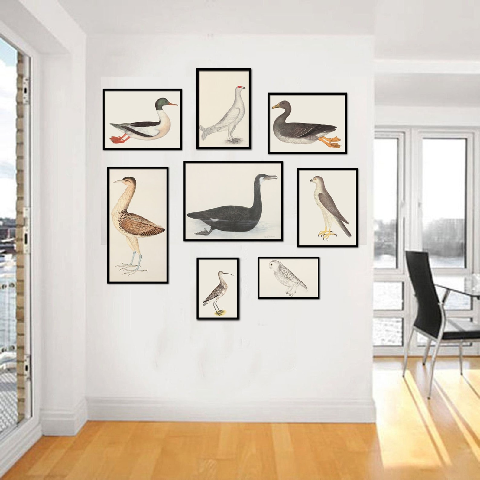 Birds Print Set, Wall Art Decor, Home Gallery, Duck, Seagull, Cormorant ...