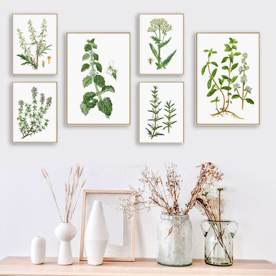 Plant Print Set of 6 Botanical Wall Art Decor Plant - Etsy