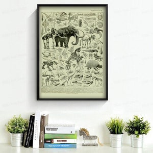 Prehistoric Animals Poster, Fossil Mammoth Dinosaur Skeleton Print ...