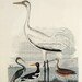 Birds in Lake Landscape Art Print, Waterbird Illustration Wall Art ...
