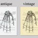 Hand Bone Print Human Anatomy Skeleton Vintage Illustration Print ...