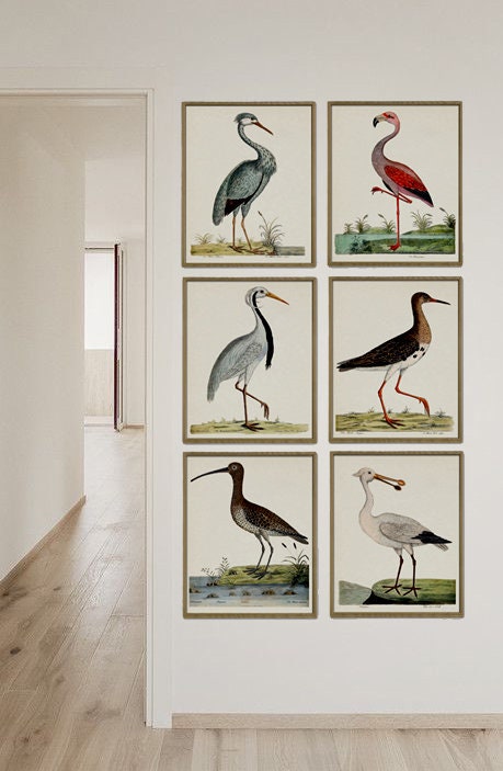 Birds Print Set, Bird Wall Decor, Antique Bird Illustration ...