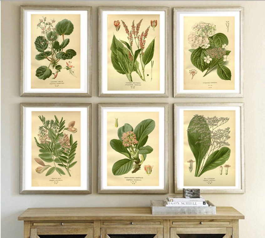 Rustic Botanical Illustration Flowers Prints Wall Art Print Vintage ...