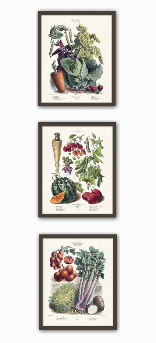 Set of 3 Vegetables Print Kitchen Decor Large Size Poster | Etsy