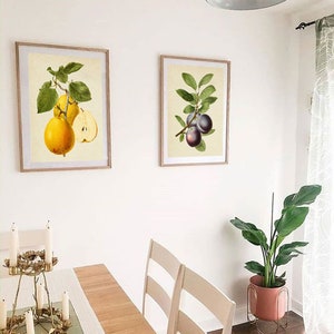 Fruit Print Set, Botanical Prints, Vintage Botanical Art, Plum Pear, Giclee, Art, Kitchen Art - Etsy