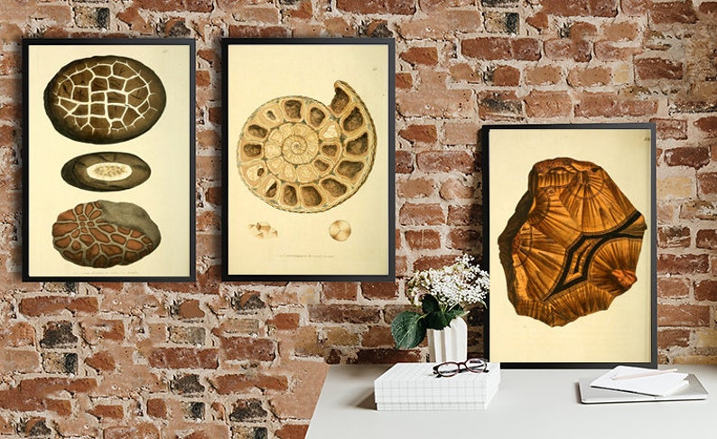 Minerals Print - Stone Poster - Minerals Art - Geology Science ...
