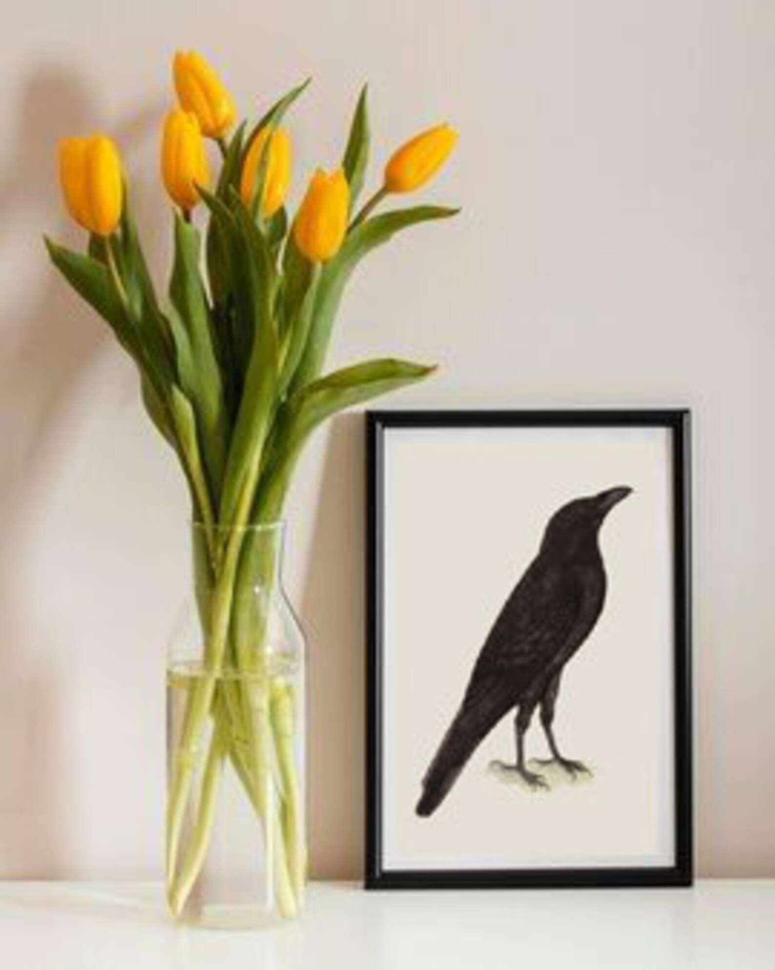 Raven Bird Print Large Wall Art Decor, Swedish Bird Vintage ...