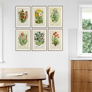 Flowers Print Set, Home Decor, Botanical Wall Art, Flower Gallery Wall ...