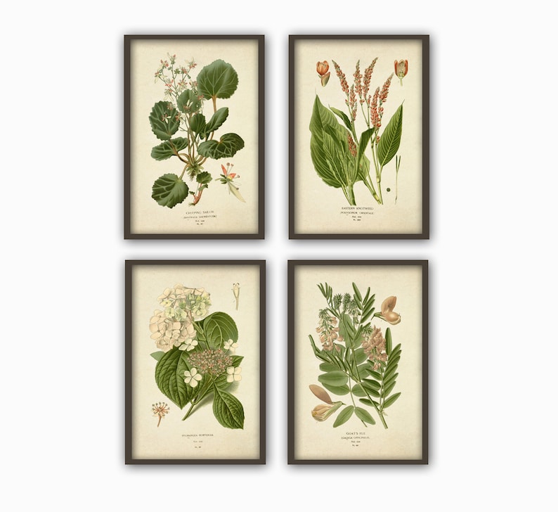Set of 4 Plant Decoration Posters and Prints Wall Art Painting - Etsy