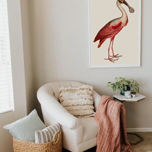 Spoonbill Bird Print, Bird Wall Decor, Ornithology Poster, Antique ...