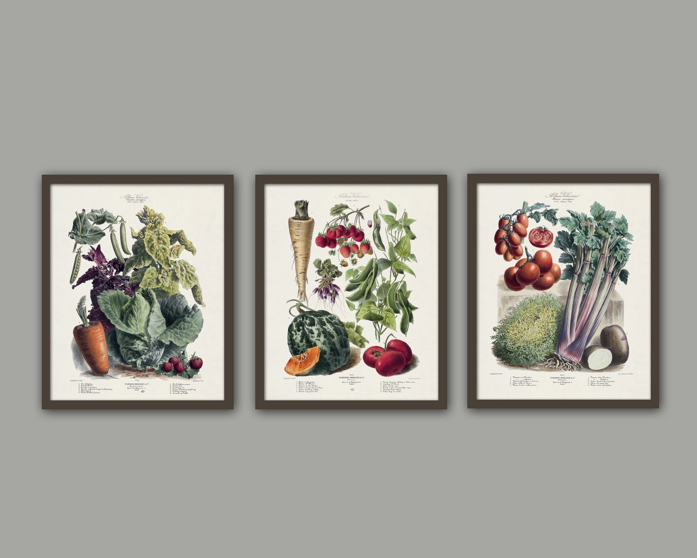 Set of 3 Vegetables Print Kitchen Decor Large Size Poster | Etsy